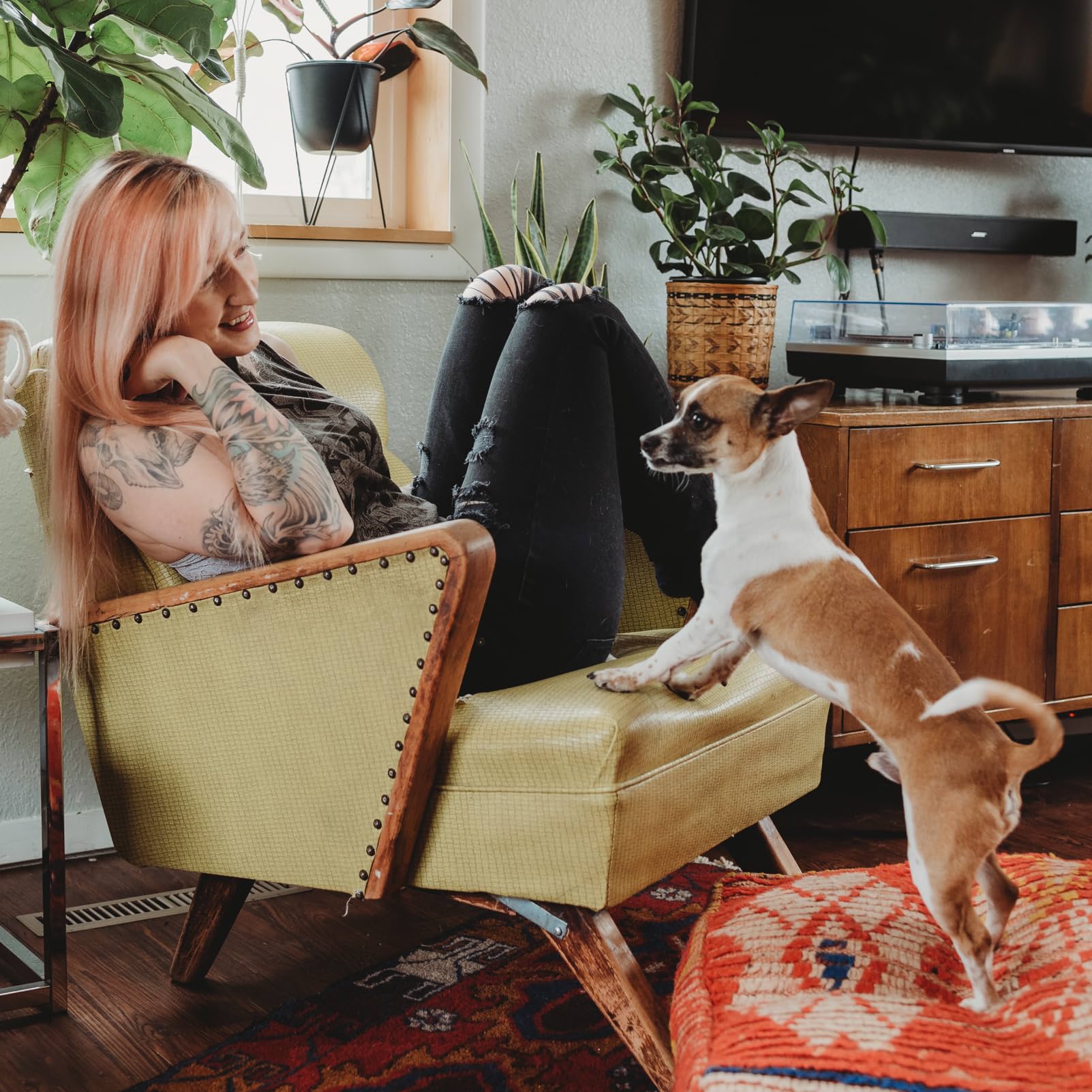 Wildly Rooted's Amazon Page