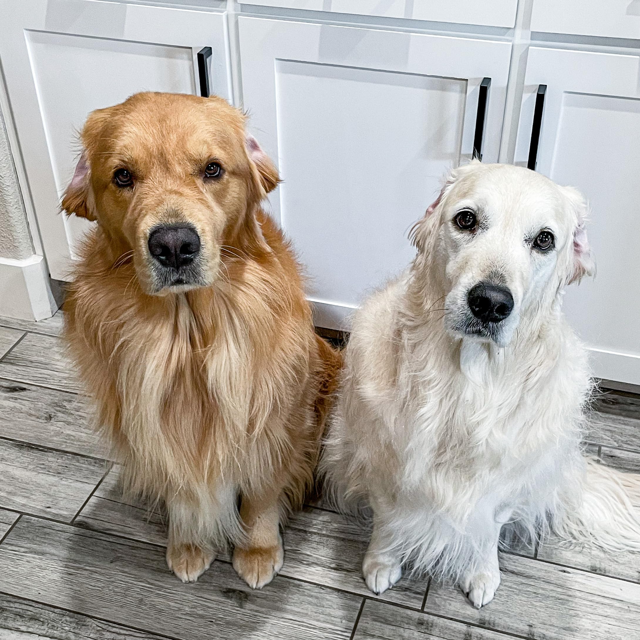 Finley & Franklin's Favorites's Amazon Page