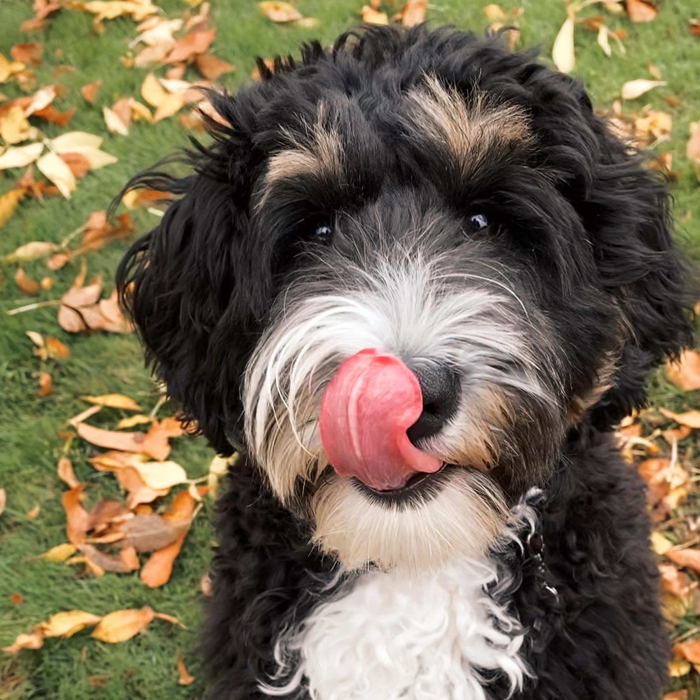 Miley’s Favorite Things's Amazon Page