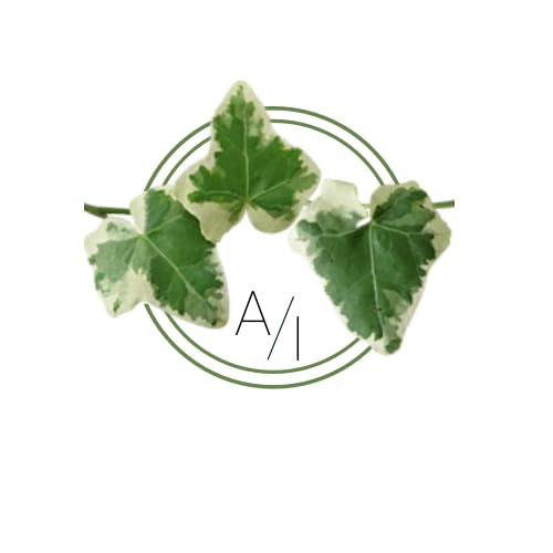 Asha’s Ivy's Amazon Page