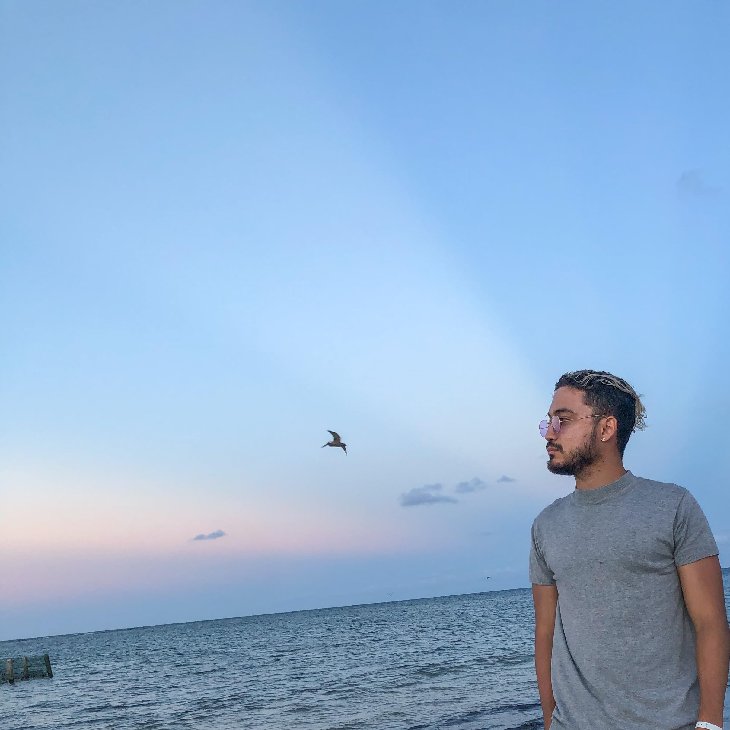 MILO K's Amazon Page