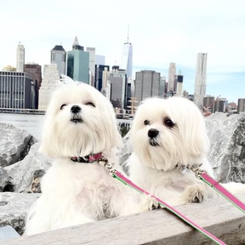 Kylie Bear & Khloe's Amazon Page