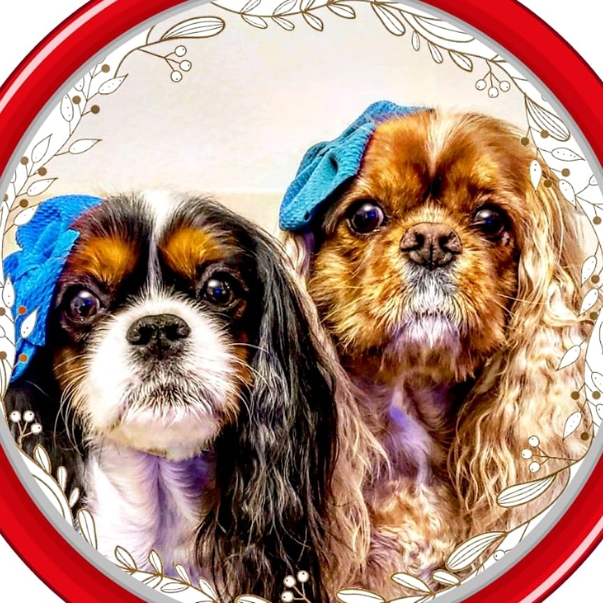 Cavie Birdie Pack's Faves's Amazon Page