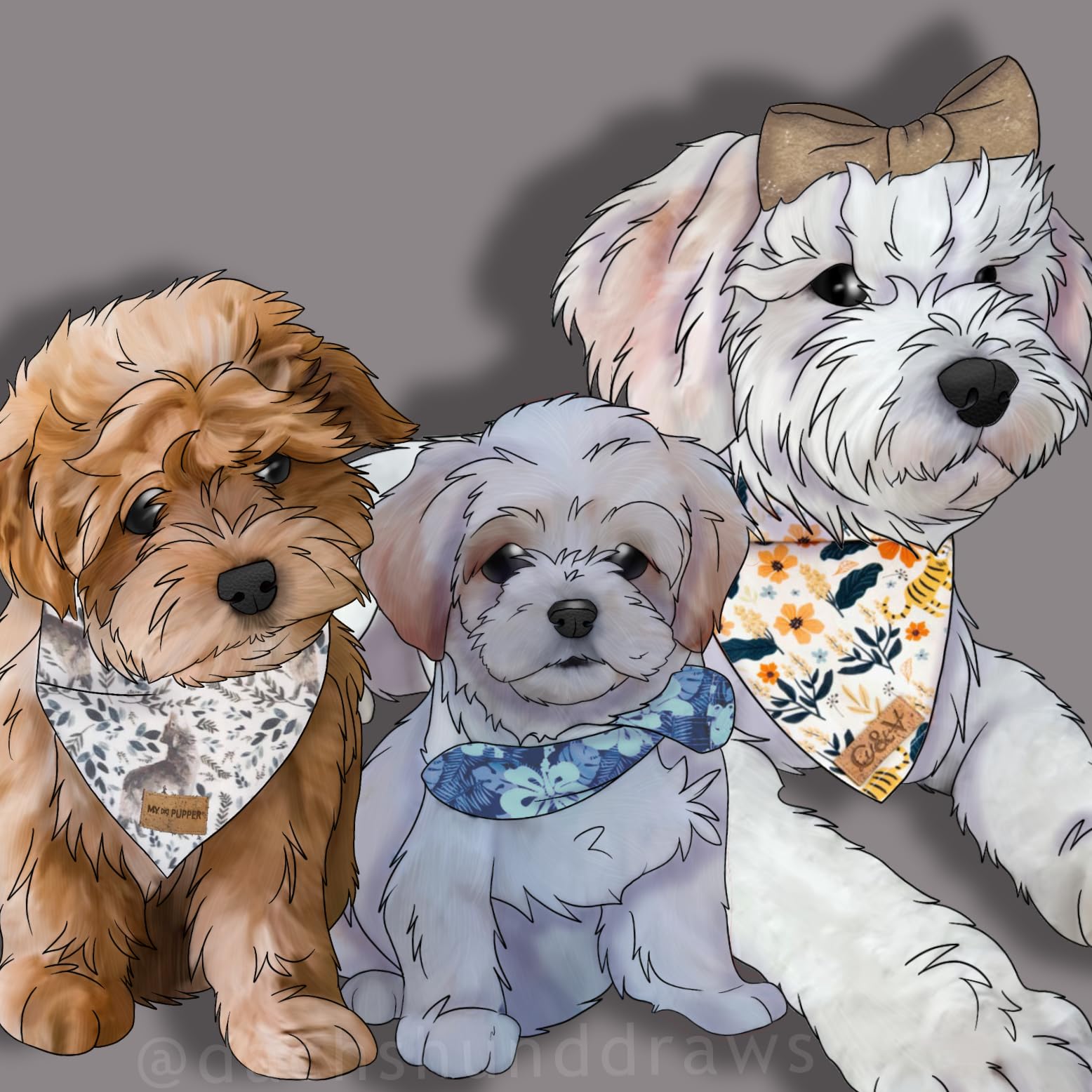 Little Maggie & Brothers's Amazon Page