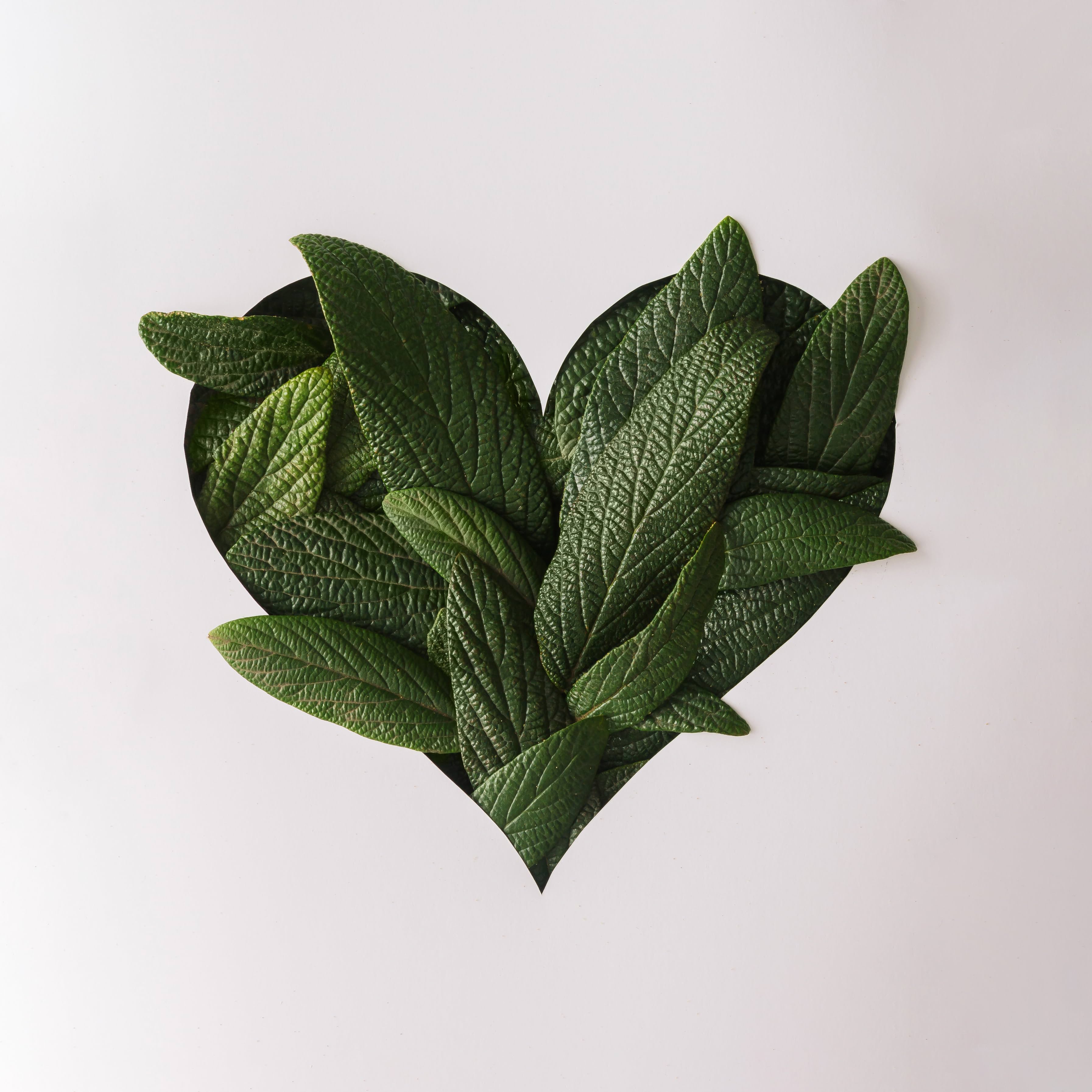 Liz M's Healthy Lifestyle Store's Amazon Page