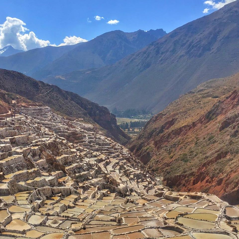 Real World Mami's Amazon Page