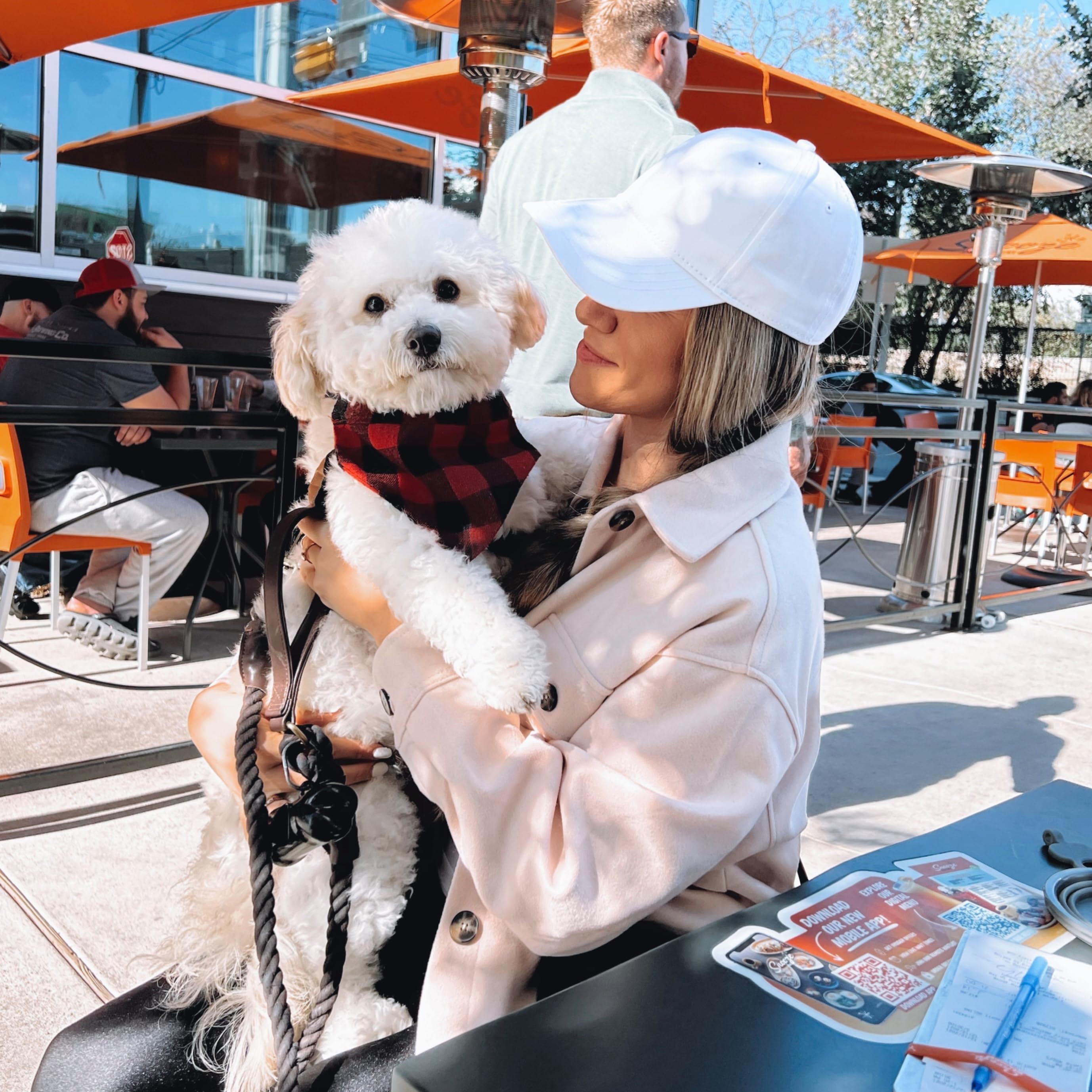 Melina’s F A V O R I T E S's Amazon Page