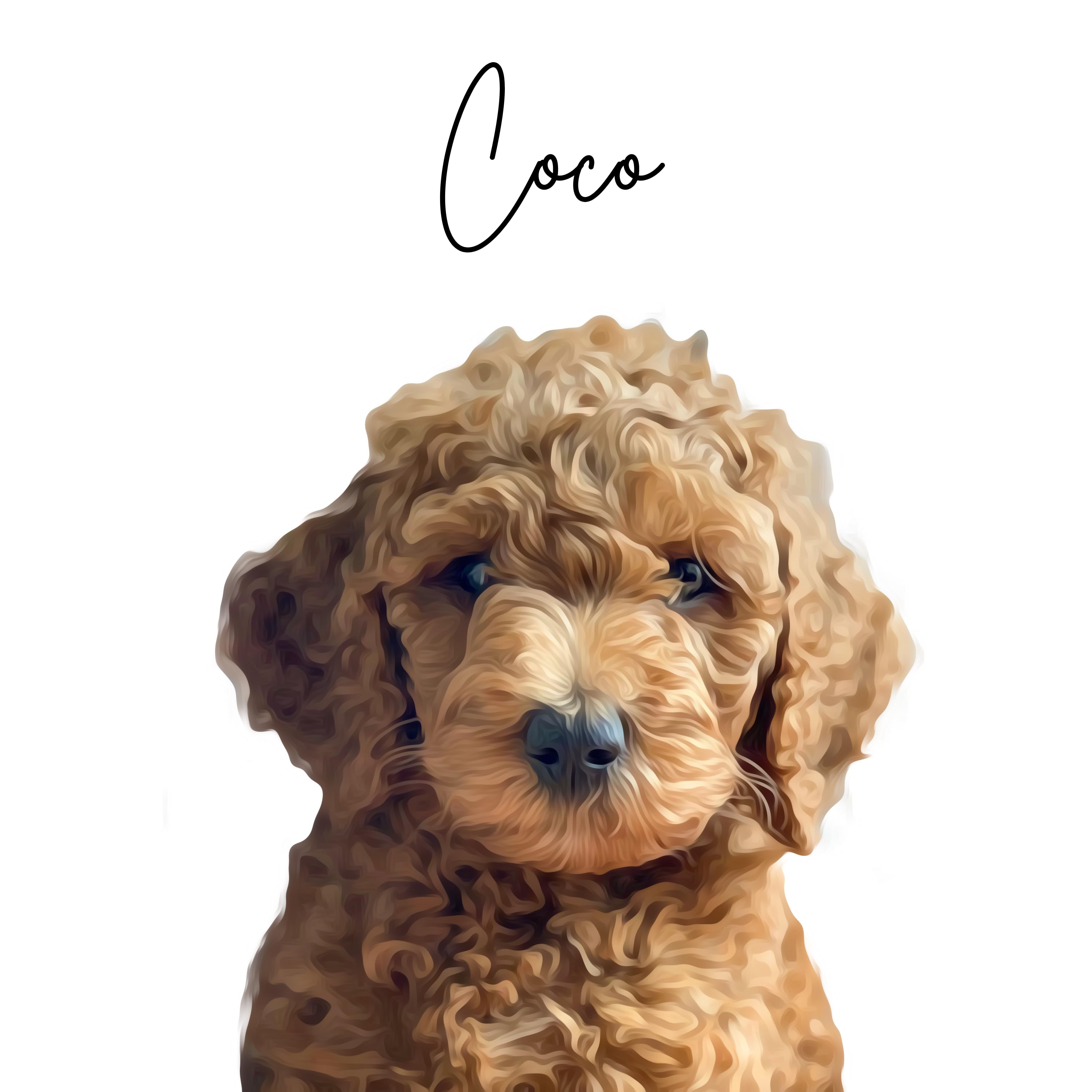 Coco's Favorites!'s Amazon Page