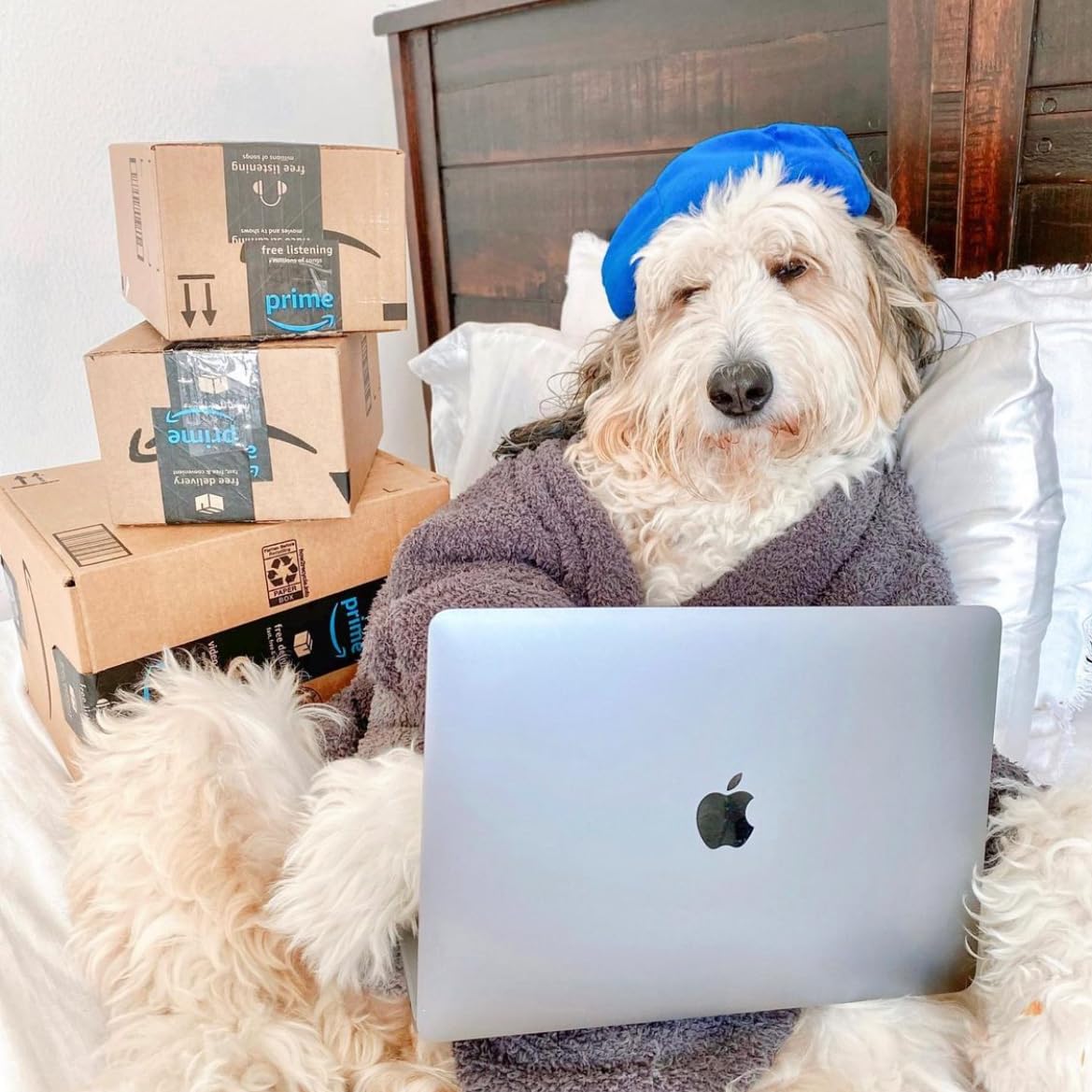 Charlie Smalls' Amazon Favorites's Amazon Page