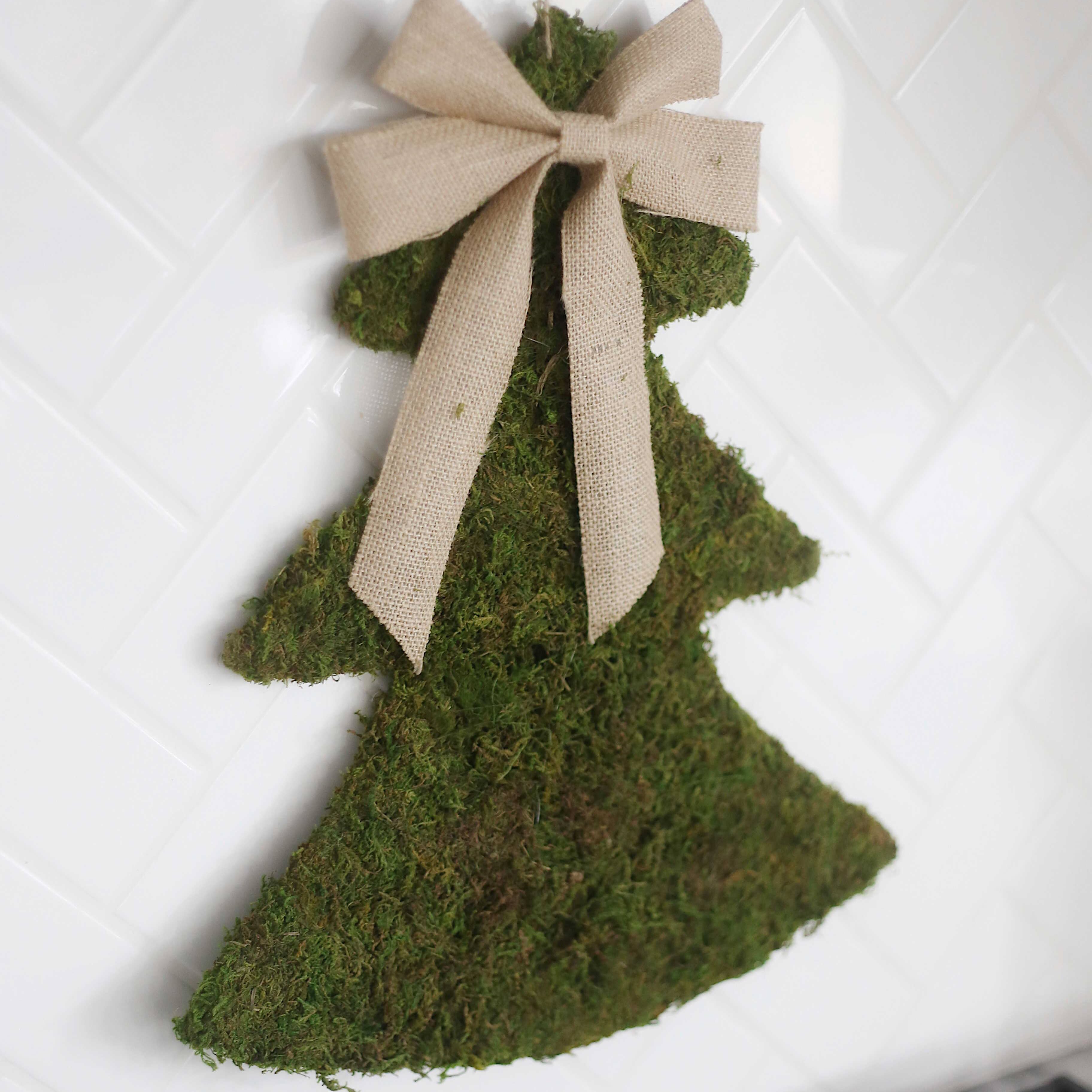 Tribe of Burton's Amazon Page