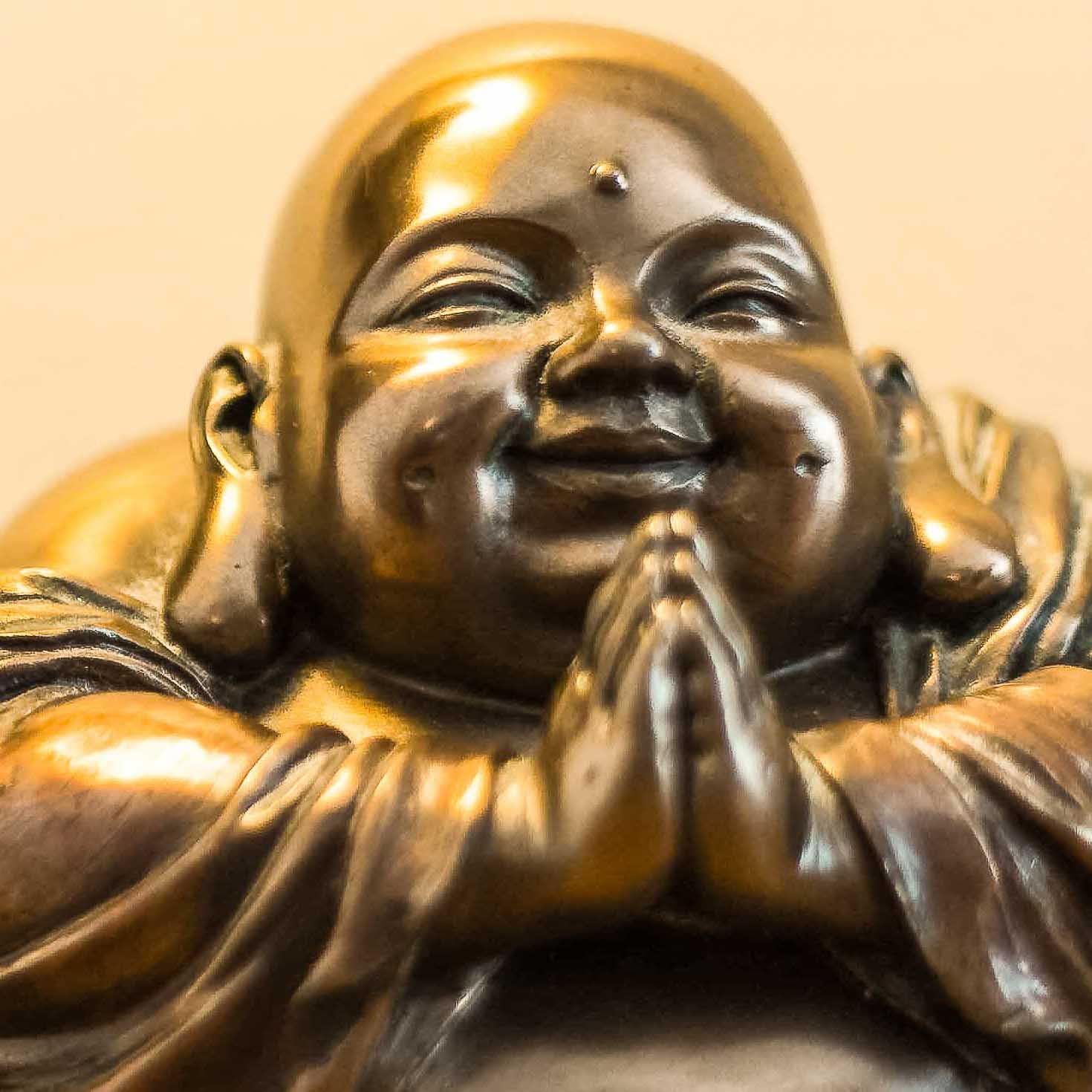 Jolly Buddha's Amazon Page