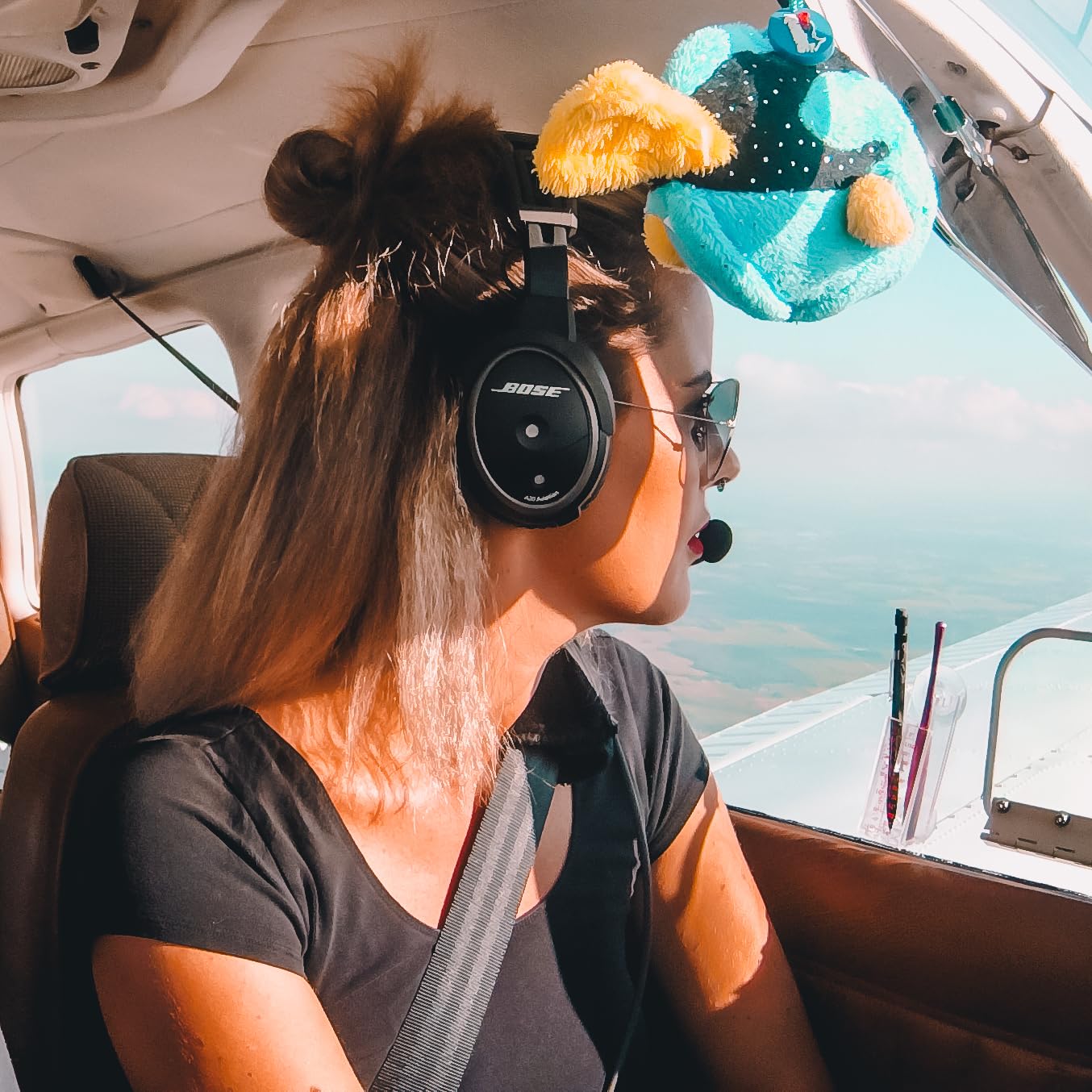 Pilot Dory's Amazon Page