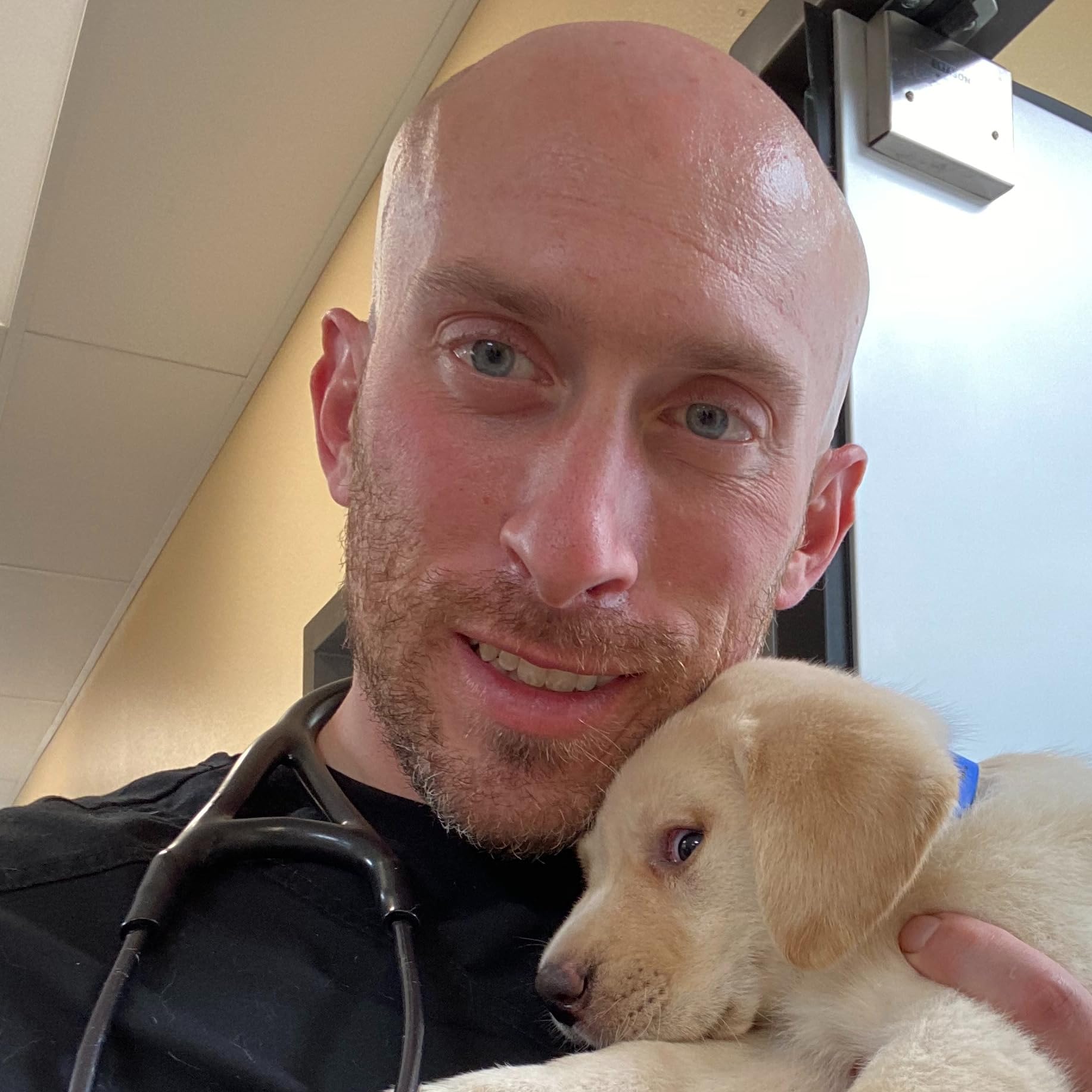 Dr. Andrew's Amazon Page