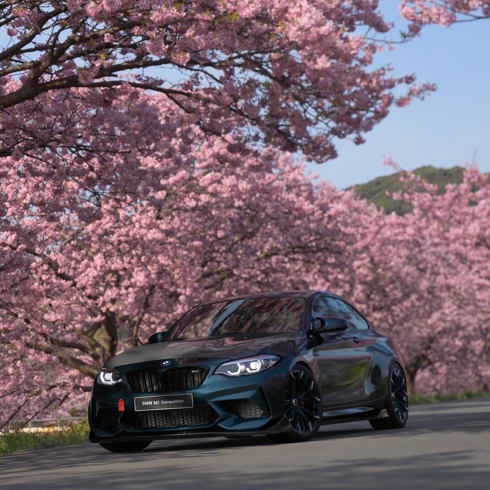 Claude's Amazon Page