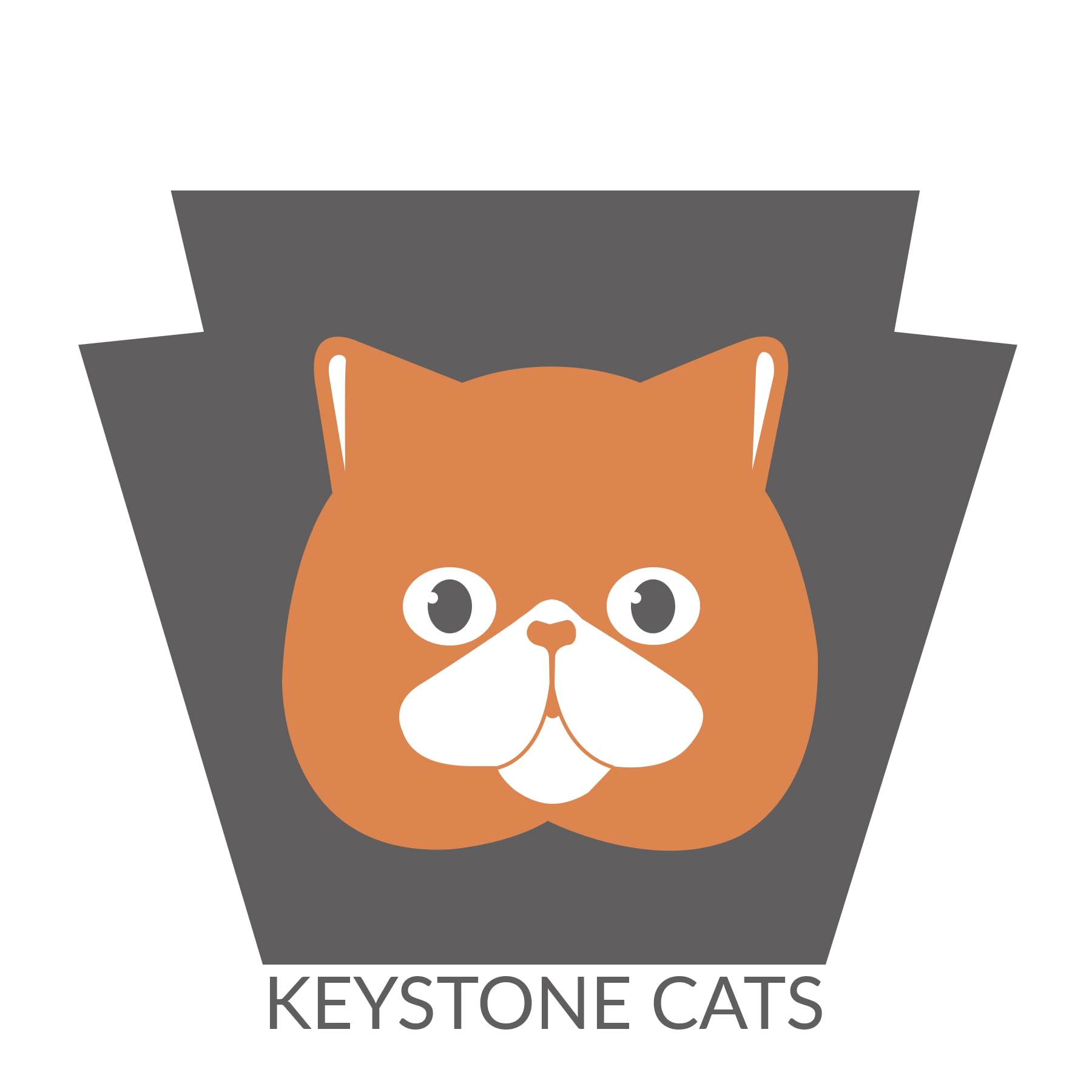 Keystone Cats Recommended Products's Amazon Page