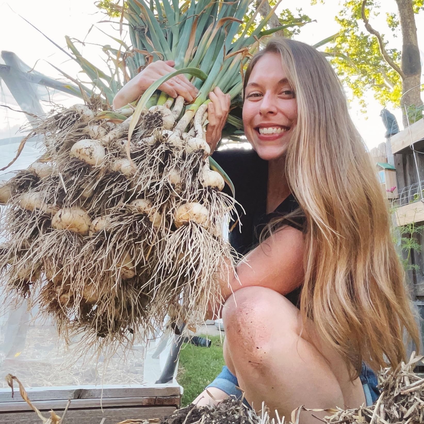 Bre Ellis's Amazon Page