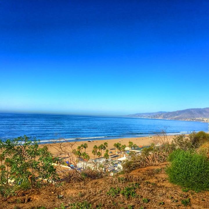 iWags Shops's Amazon Page