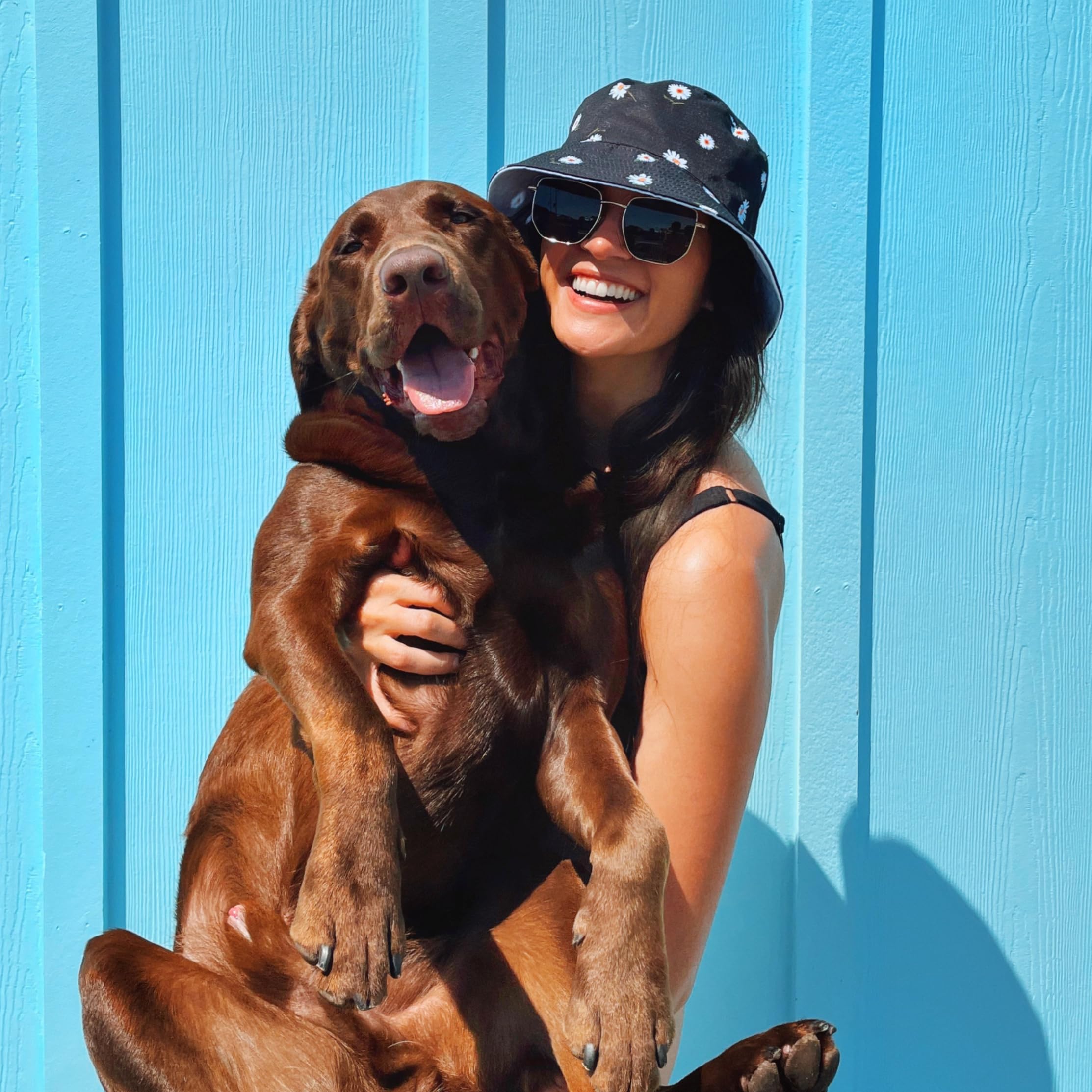 Katy Koval's Amazon Page