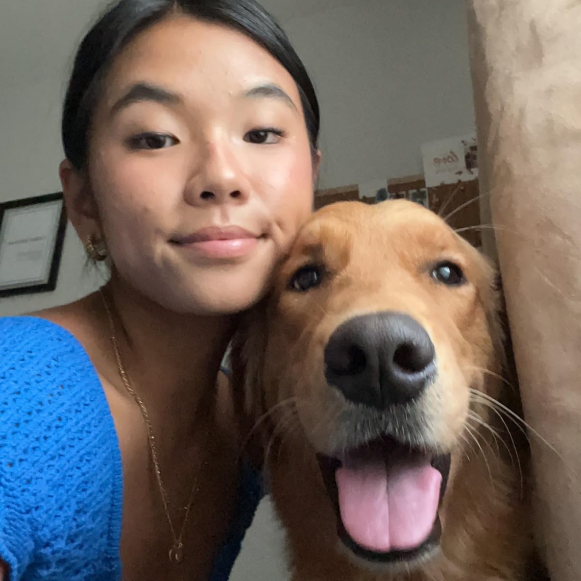 jo and koda's Amazon Page