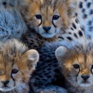 Wildography's Amazon Page