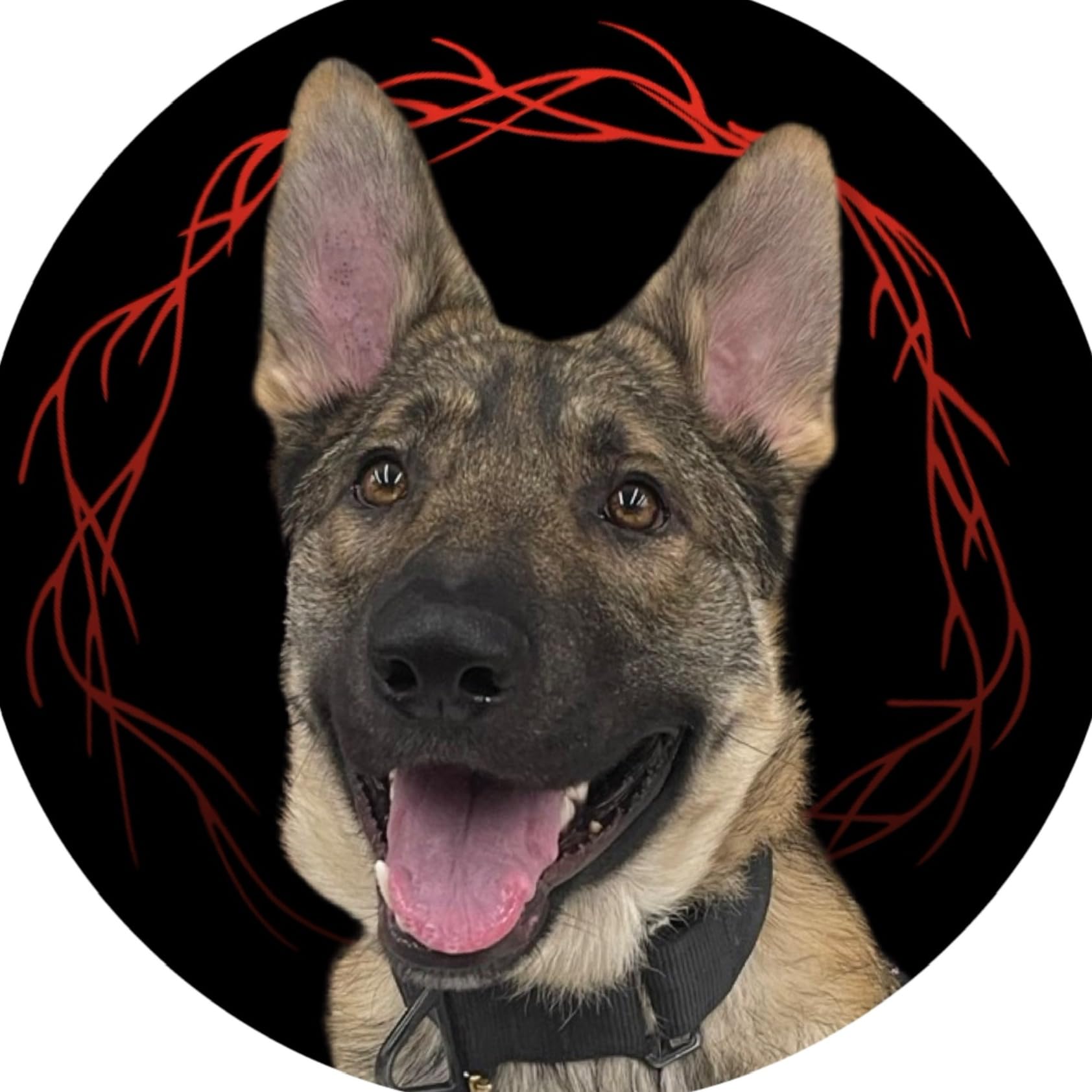 Demon.Dog.Duo's Amazon Page