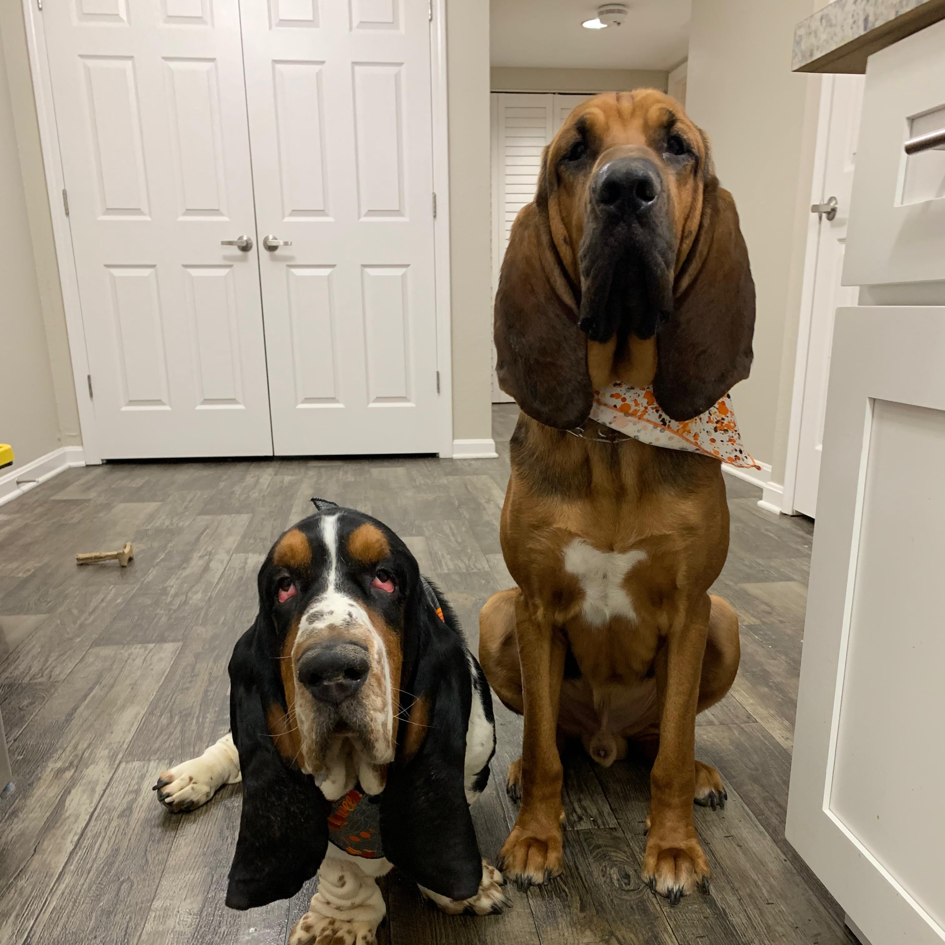 Norman & Merle's Amazon Page