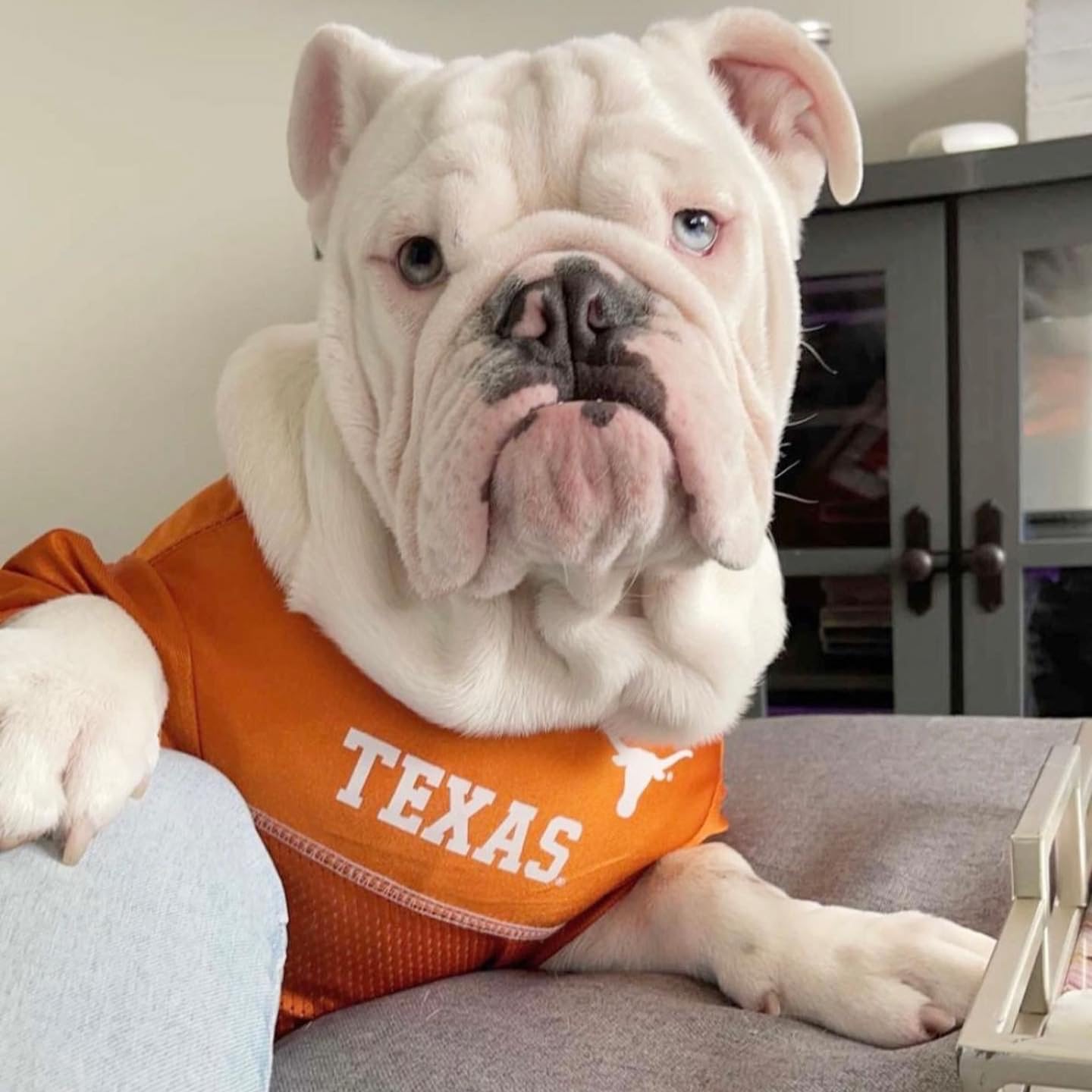 Nuggie Fresh's Amazon Page