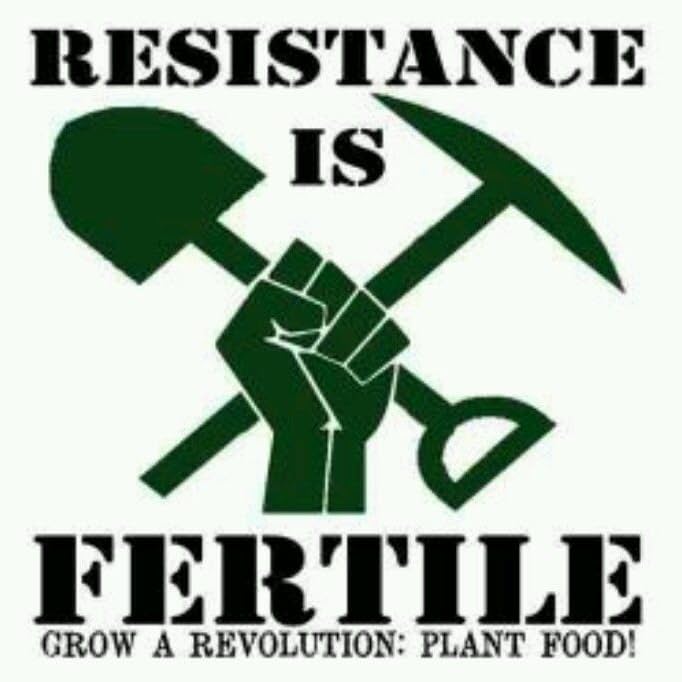 Oppenheimer Ranch Project's Amazon Page