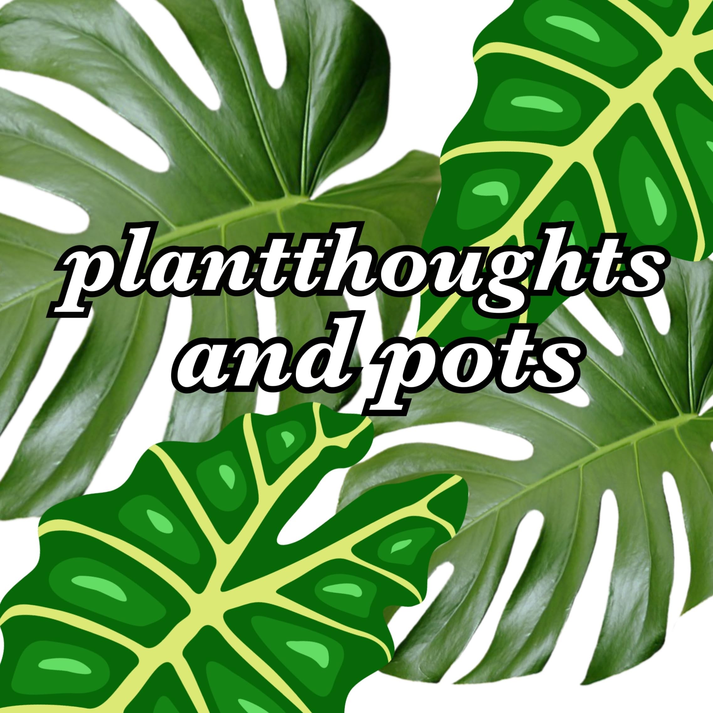 plantthoughtsandpots's Amazon Page