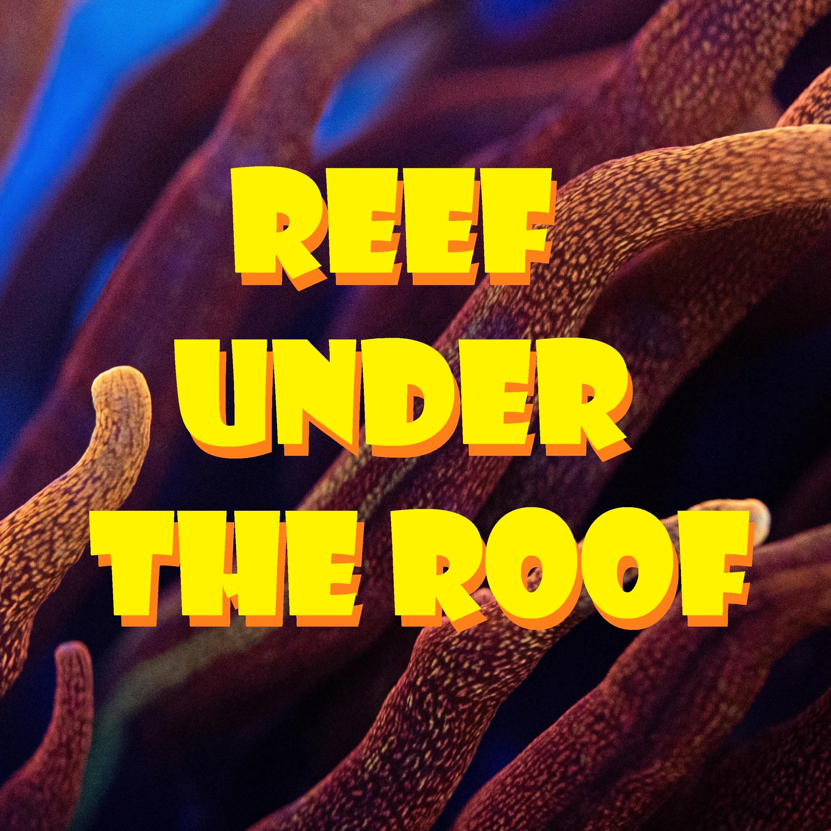 Reef Under The Roof's Amazon Page