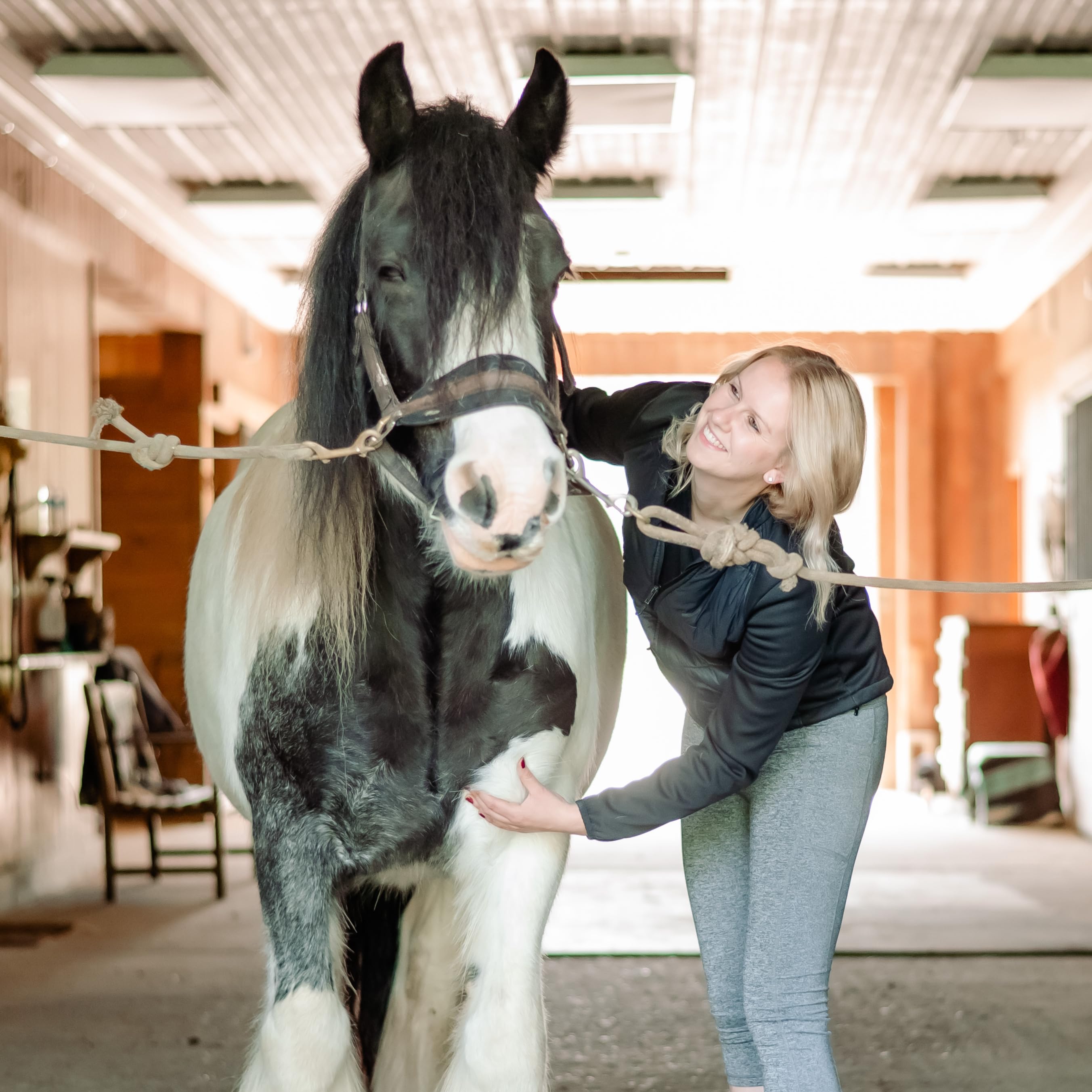 Revitalizing Equine Services, LLC's Amazon Page