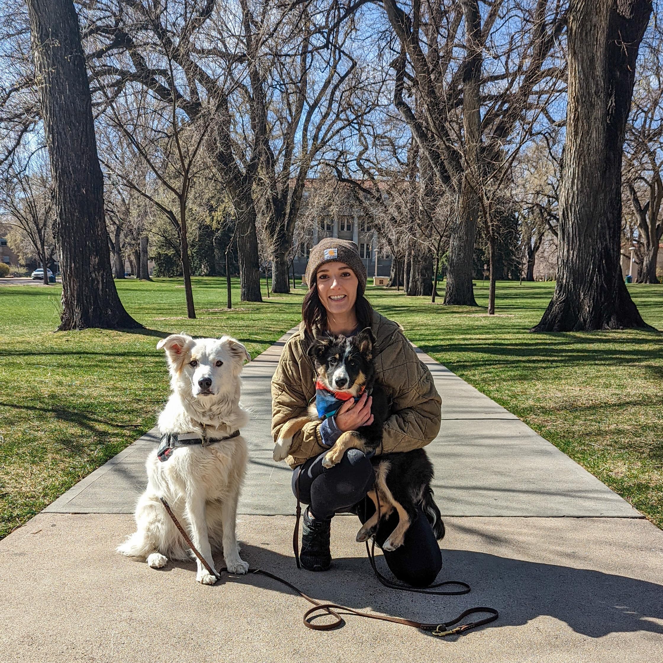 Sarah Walsh's Amazon Page