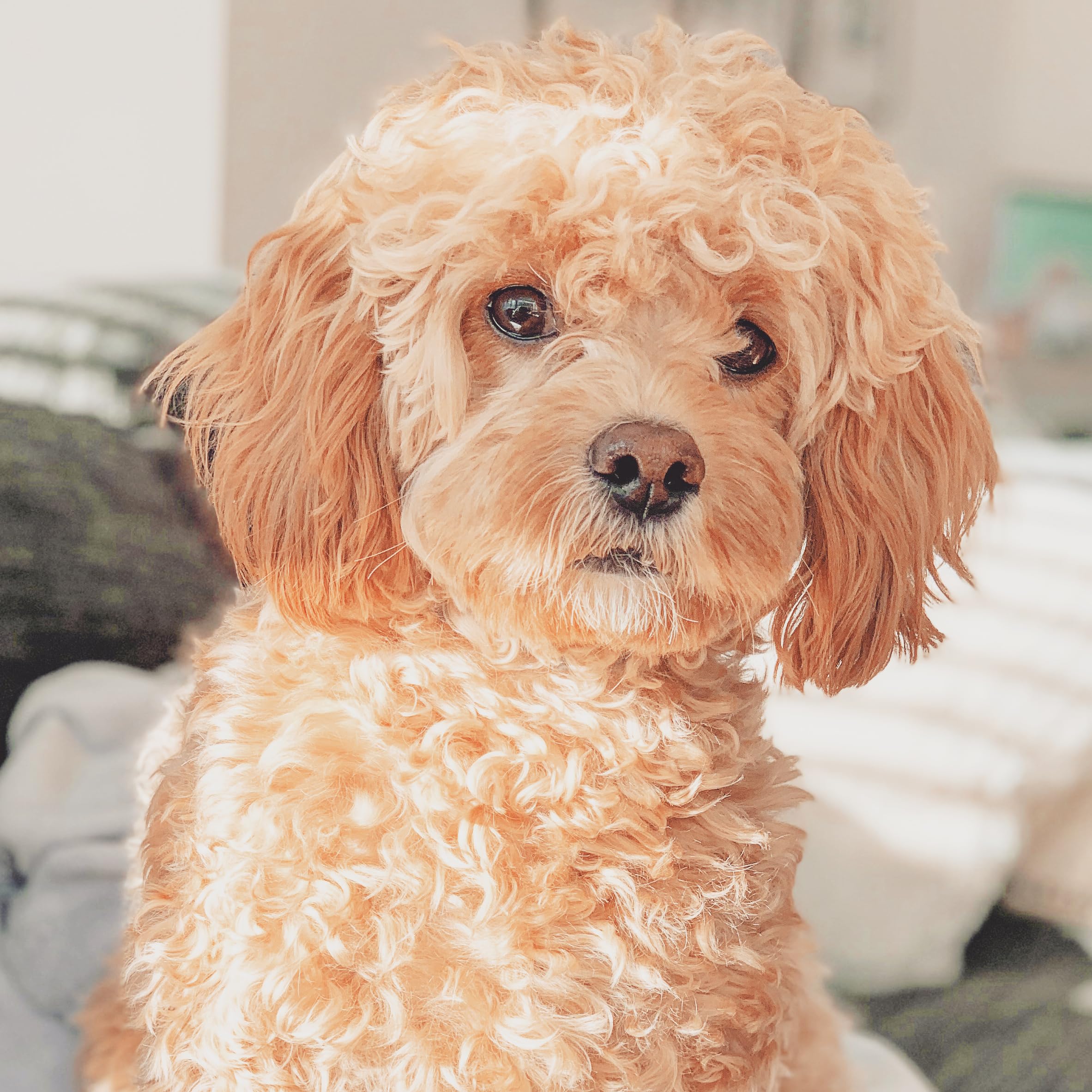 Skylar's Amazon Page