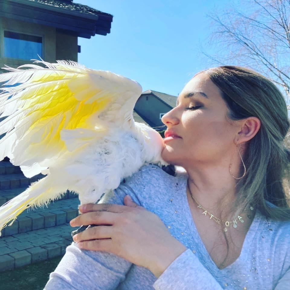 The Parrot Lady's Amazon Page