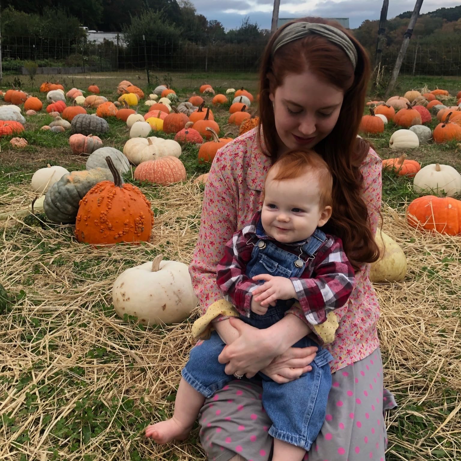 Violet Hummingbird's Amazon Page