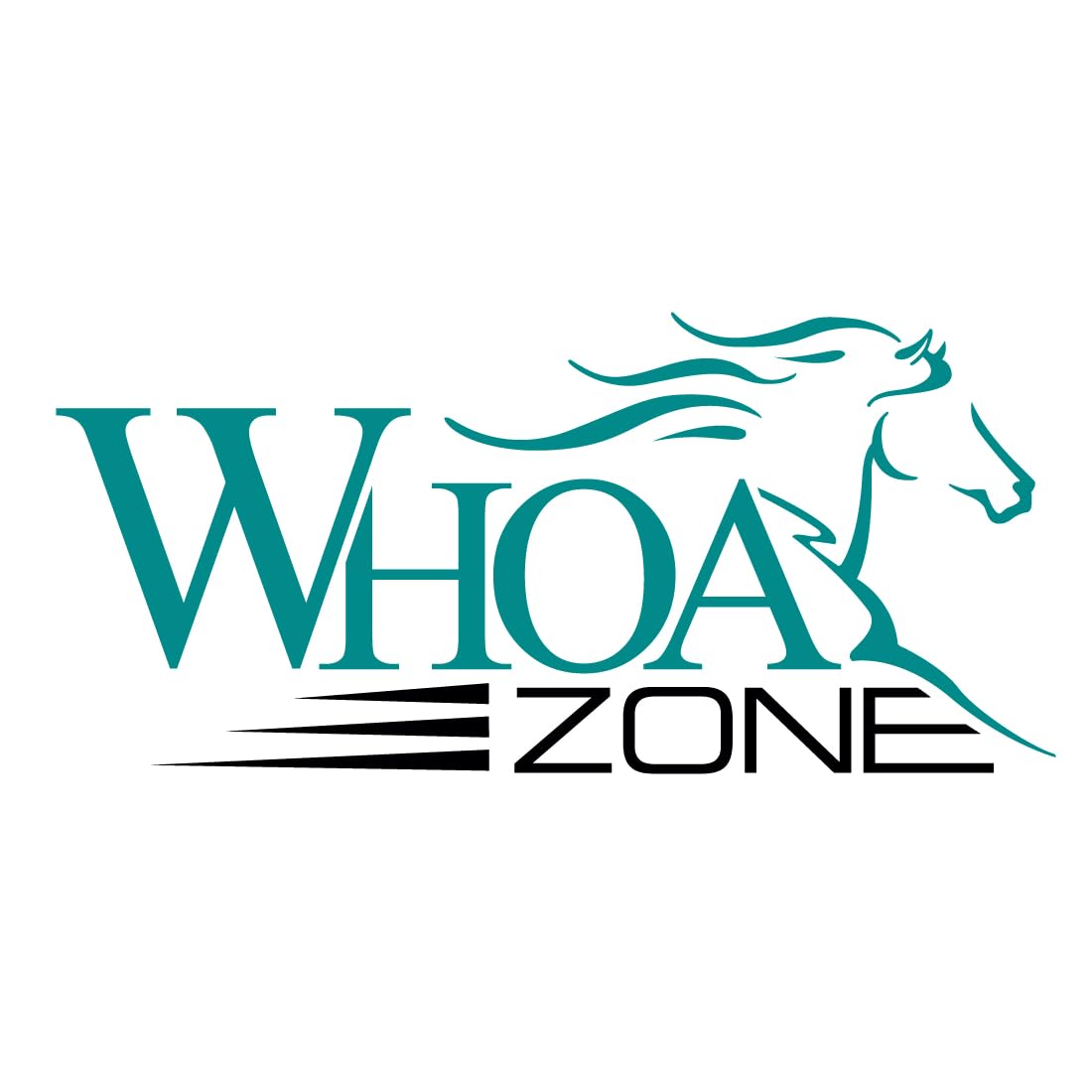 WhoaZone Equine's Amazon Page