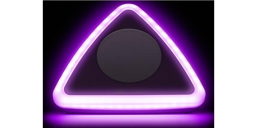 ION Outdoor Speaker w/ Lighting