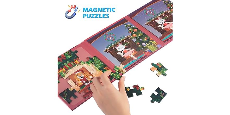 Magnetic Puzzles (2 Puzzles)