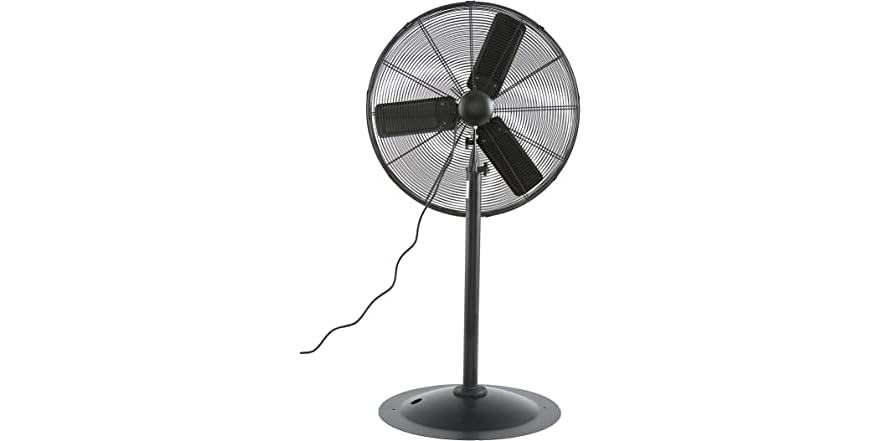 iLiving 30" Non-Oscillating Pedestal Fan