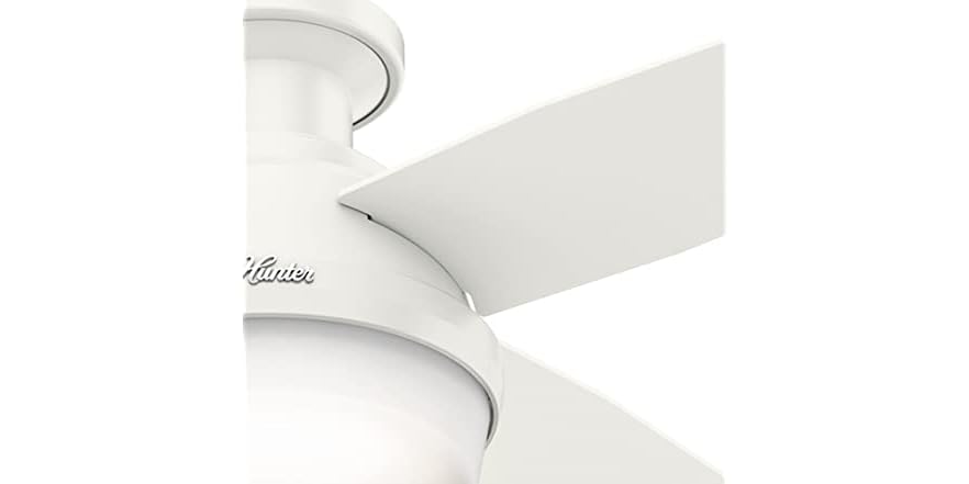 44" Hunter Fan w/Light Kit