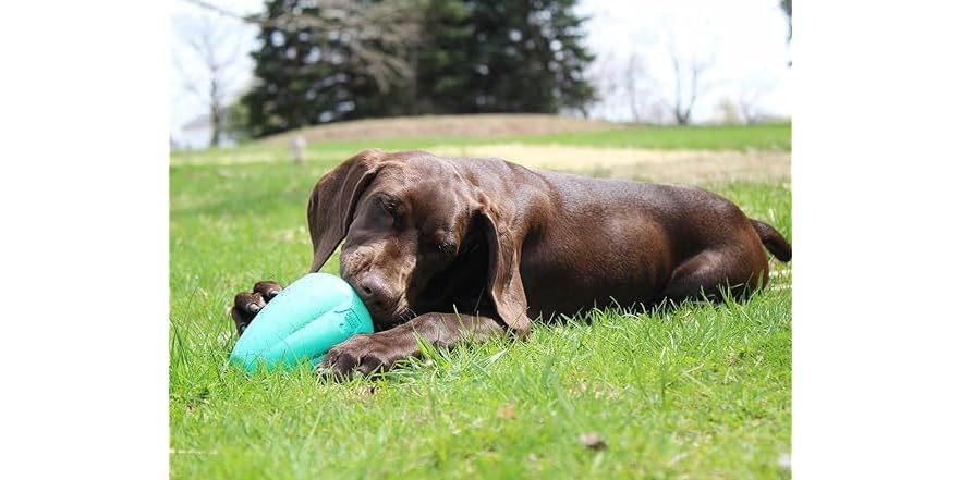 Chew King Rubber Premium Treat Dog Toy, XL