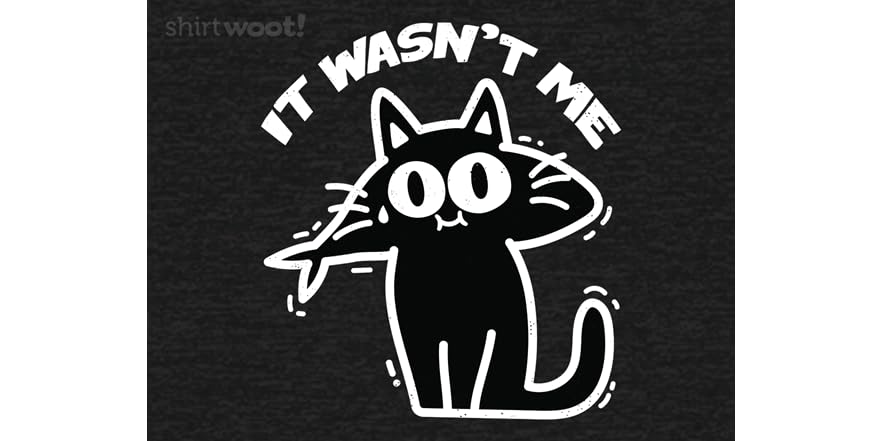It Was Not Me