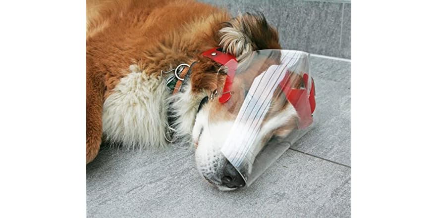 Optivizor Eye Protection for Dogs