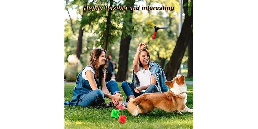 Reaction Speed Training Tools 5pc Kit