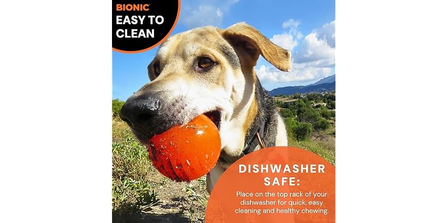 BIONIC Large Dog Chew Ball