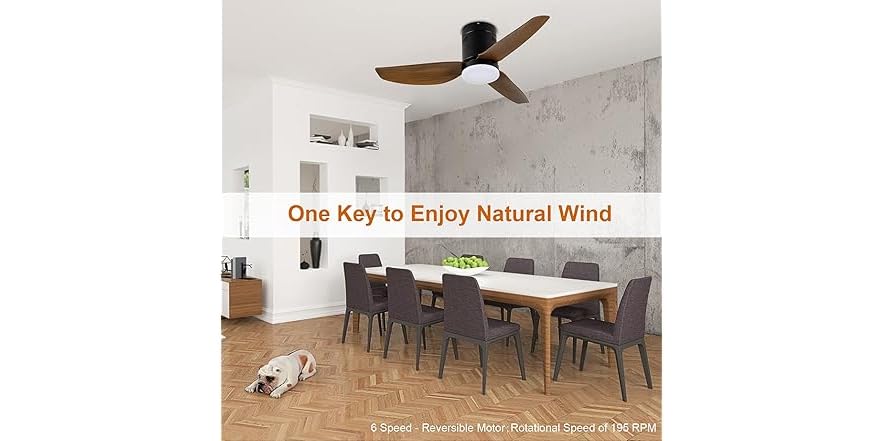 Simple Deluxe 40" Ceiling Fans w/ Light
