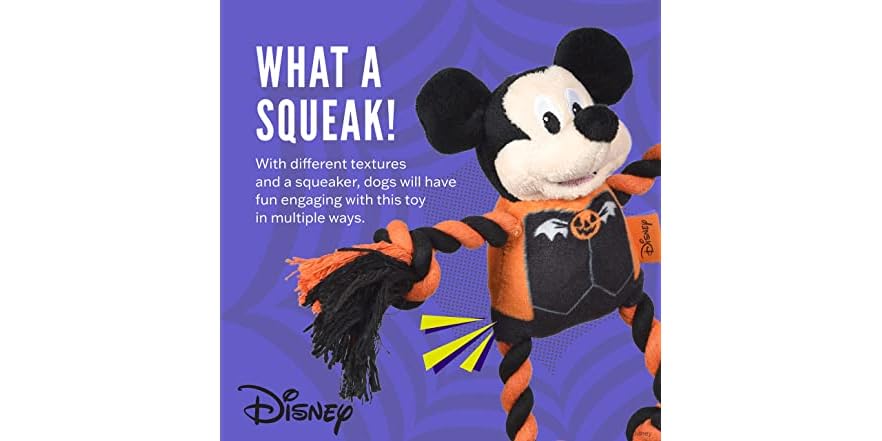 Disney Mickey Toy for Dogs