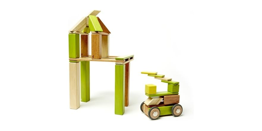 Tegu 42-Piece Magnetic Wooden Block Set