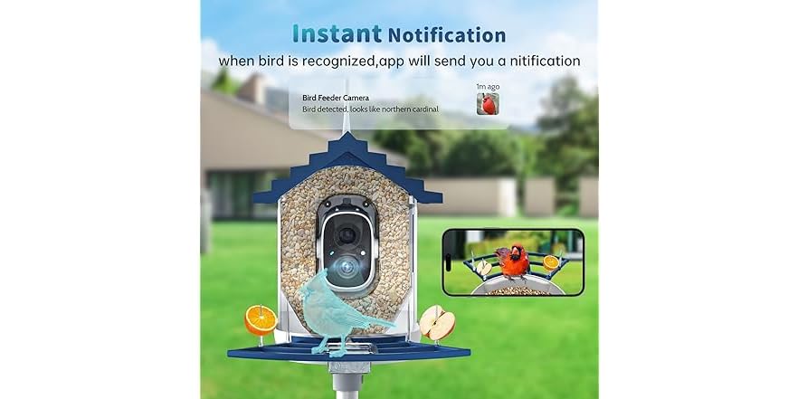 NAVFS AI Smart Bird Feeder | 2K | 2.4Ghz (Open Box)