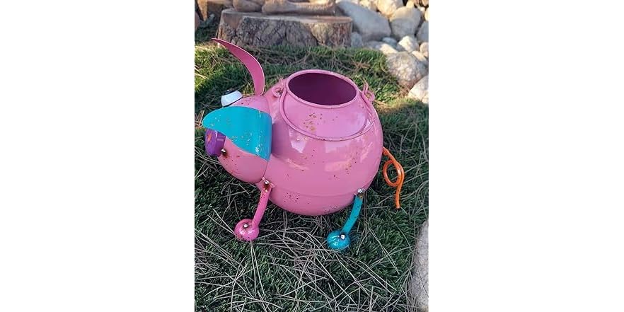 Continental Art Center Fun Colorful Enameled Metal Wateri